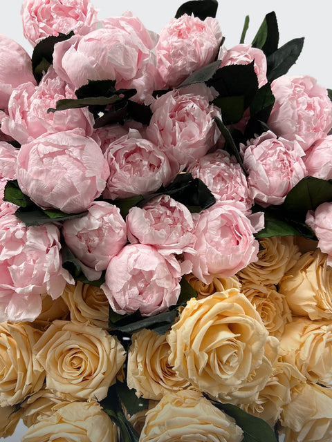 Preserved Peonies | Preserved Flowers by Nordblooms